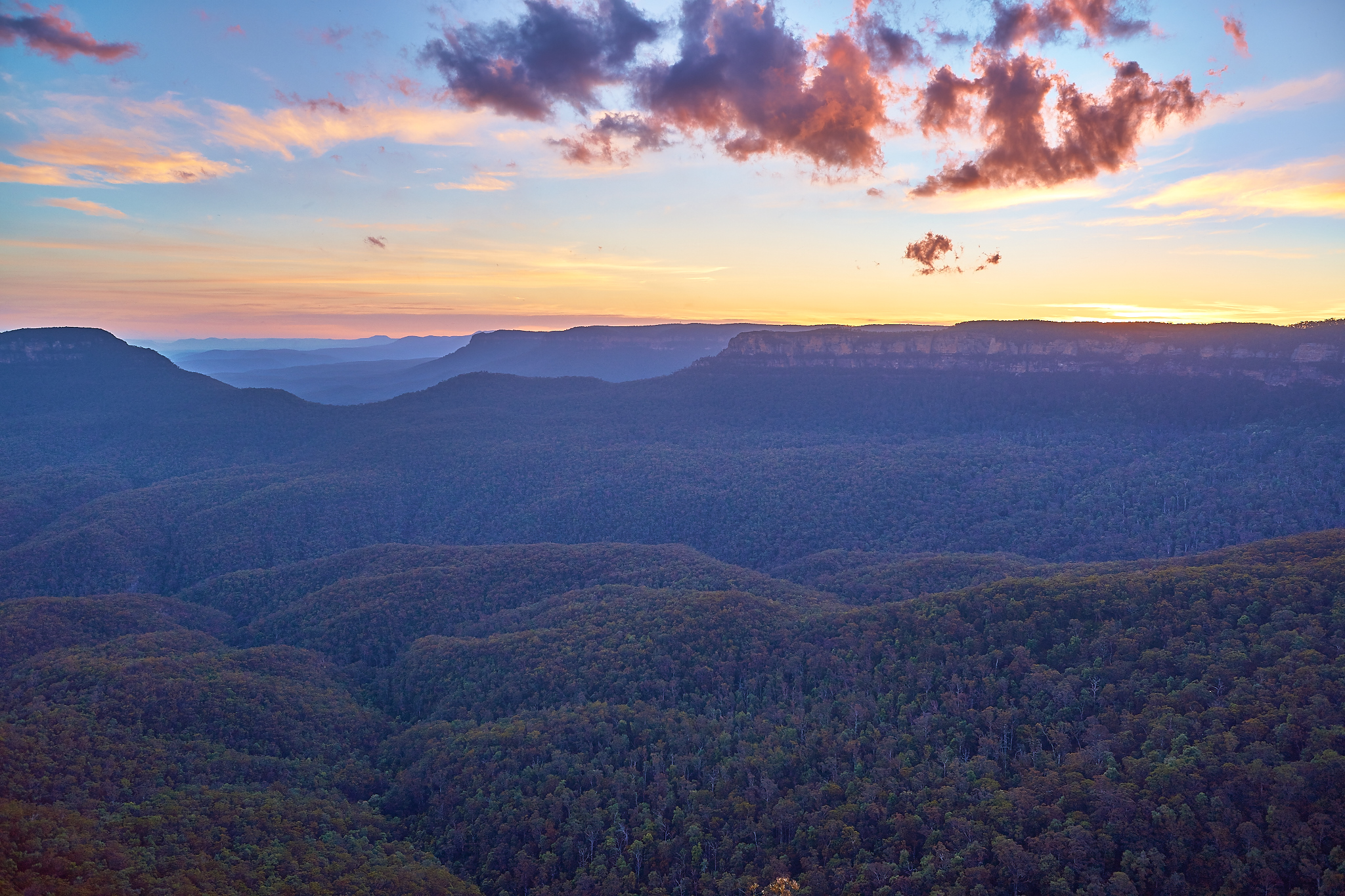 The Blue Mountains